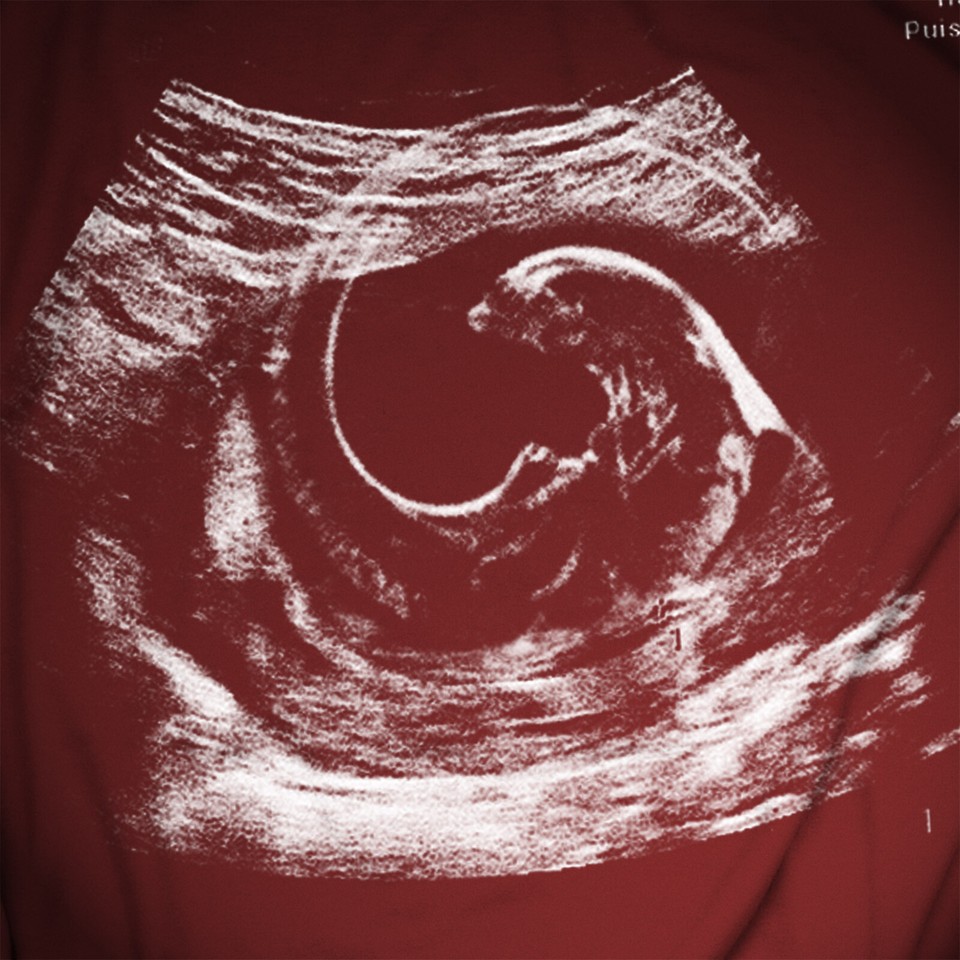 Baby Xenomorph Alien Aliens Shirt nerd prometheus weyland kult USCSS ...