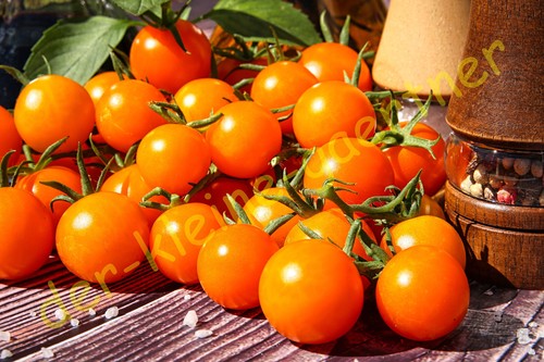 TOMATE ORANGE CHERRY CHERRYTOMATE KIRSCHTOMATEN SAFTIG SÜß LECKER 10 ...