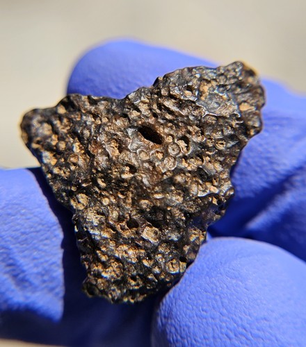 Meteorite**NWA 17071, CV3**2.946 grams, W/Rare CAI's (Pre-Solar Grains ...