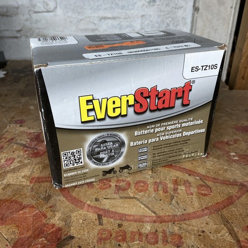 EverStart ES-TZ10S Platinum AGM Power Sports Battery - NEW | eBay