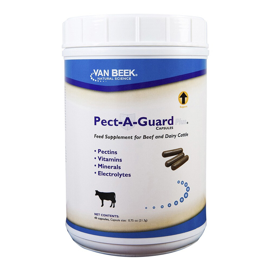 Pect-A-Guard Plus Capsules 40 Count Stress Cattle | eBay