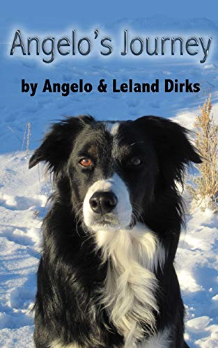 Angelo's Journey: A Border Collie's Quest for Home - Paperback NEW ...