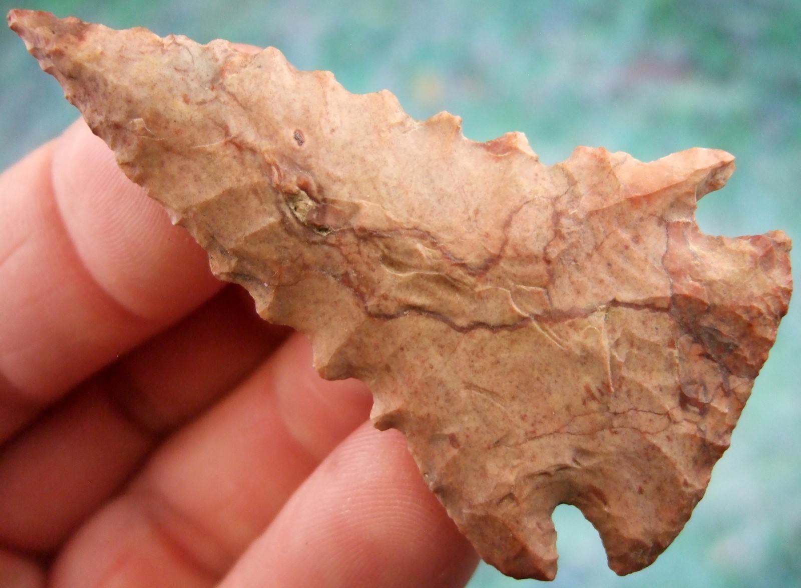 Super Fine Colorful Serrated Alabama Pine Tree Point with Insight COA ...