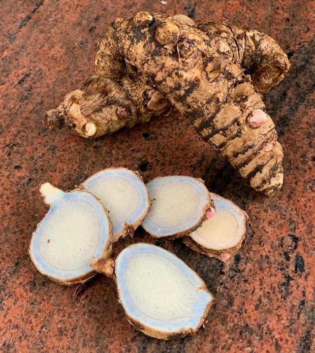 Blue Turmeric Bulbs 300++ gram (Curcuma aeruginosa) - Fresh Organic ...