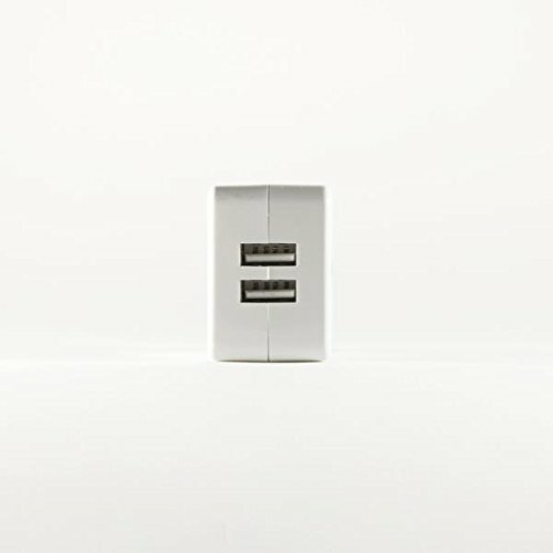 2-Port USB Charger for Astro 40SL 410 Lumen Rechargeable COB LED Slim ...