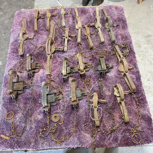 Lot Of 20 used victor montgomery northwood coil Spring long spring trap ...