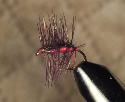 Crackleback Dry Fly - RED Size 14 Lot of 12 F718 | eBay
