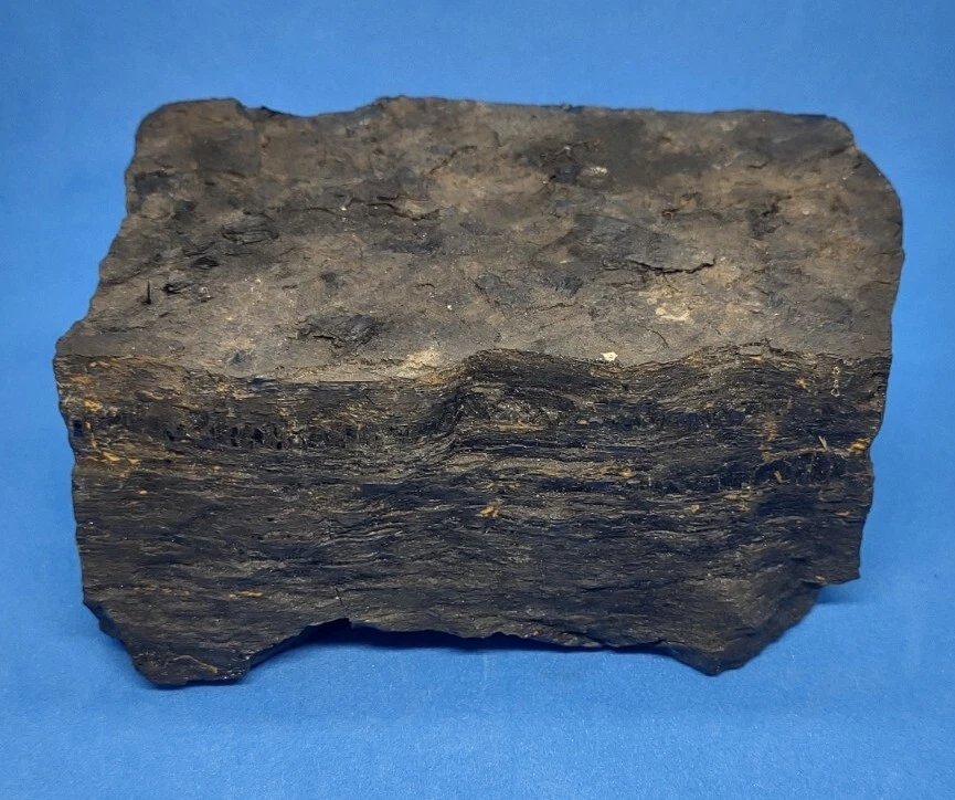 Bituminous Coal Rock