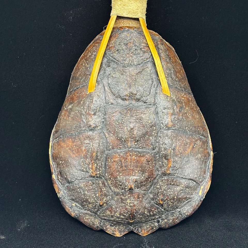 Native American Iroquois Snapping Turtle Rattle late 1800's early 1900 ...