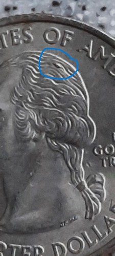 2004 P ERROR TEXAS WASHINGTON QUARTER | eBay