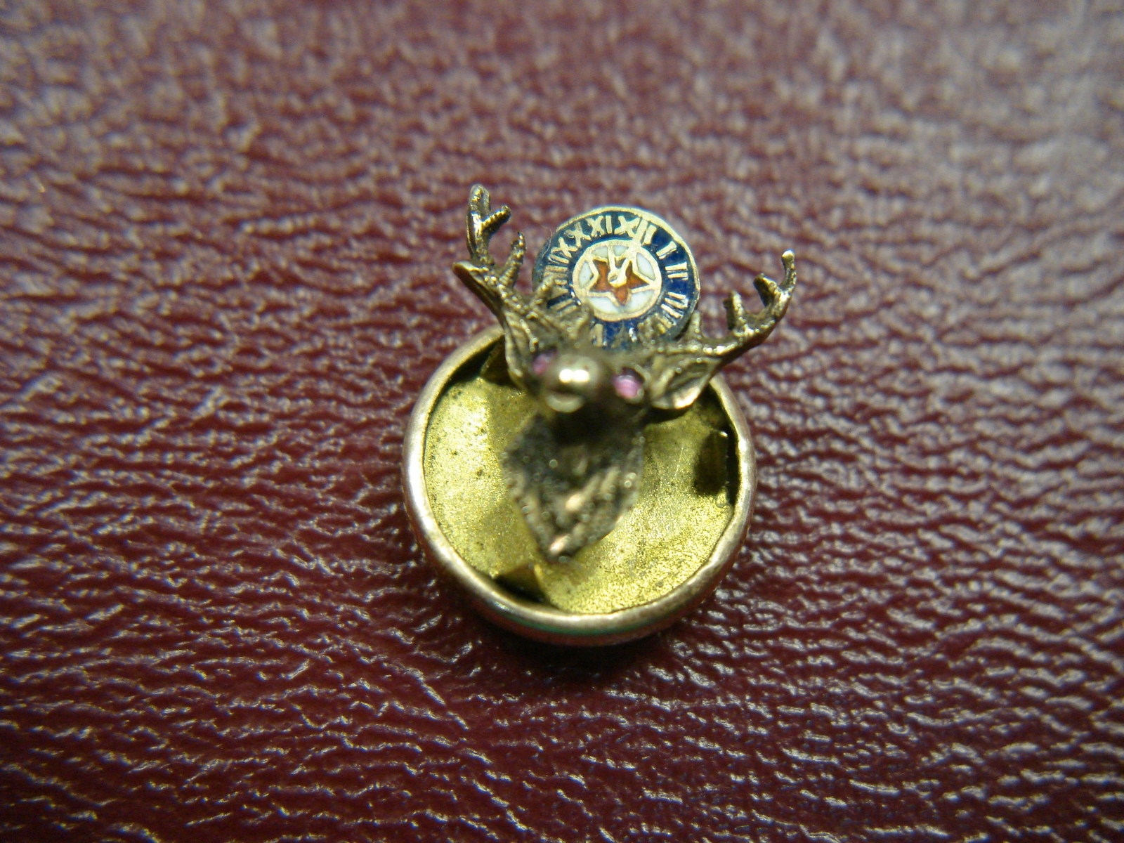 VINTAGE 14K YELLOW GOLD ELKS HEAD LAPEL PIN WITH SCREW BACK -EXCELLENT ...