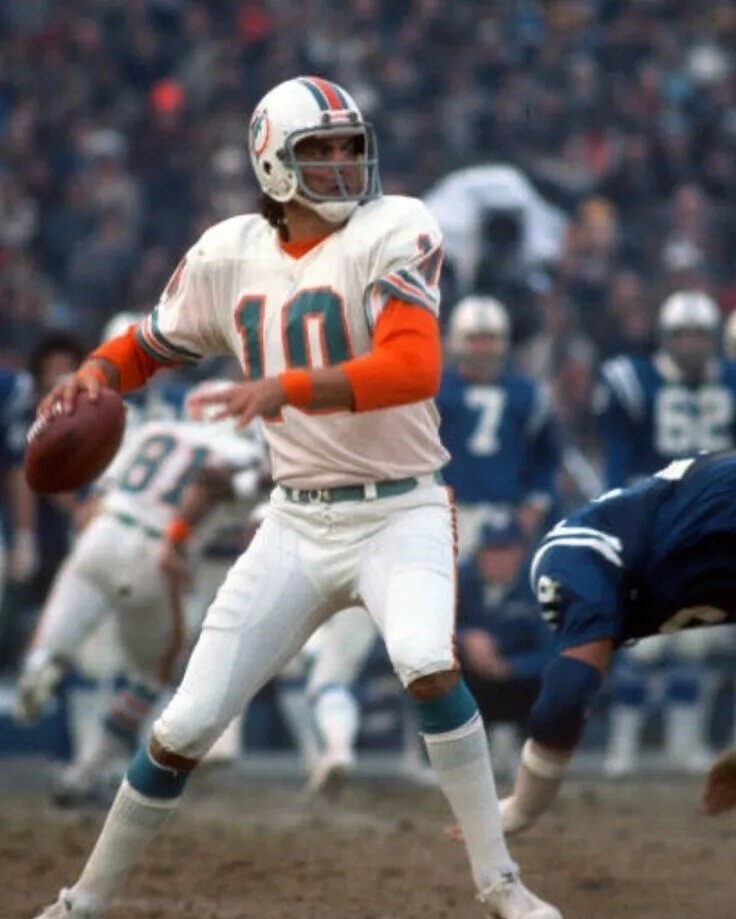 Don Strock Miami Dolphins Nfl 8x10 PHOTO PRINT | eBay