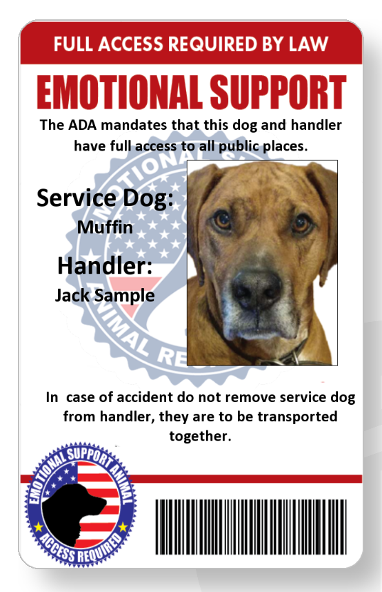 Service dog handler ID card printed in vivid full color mailed out same ...