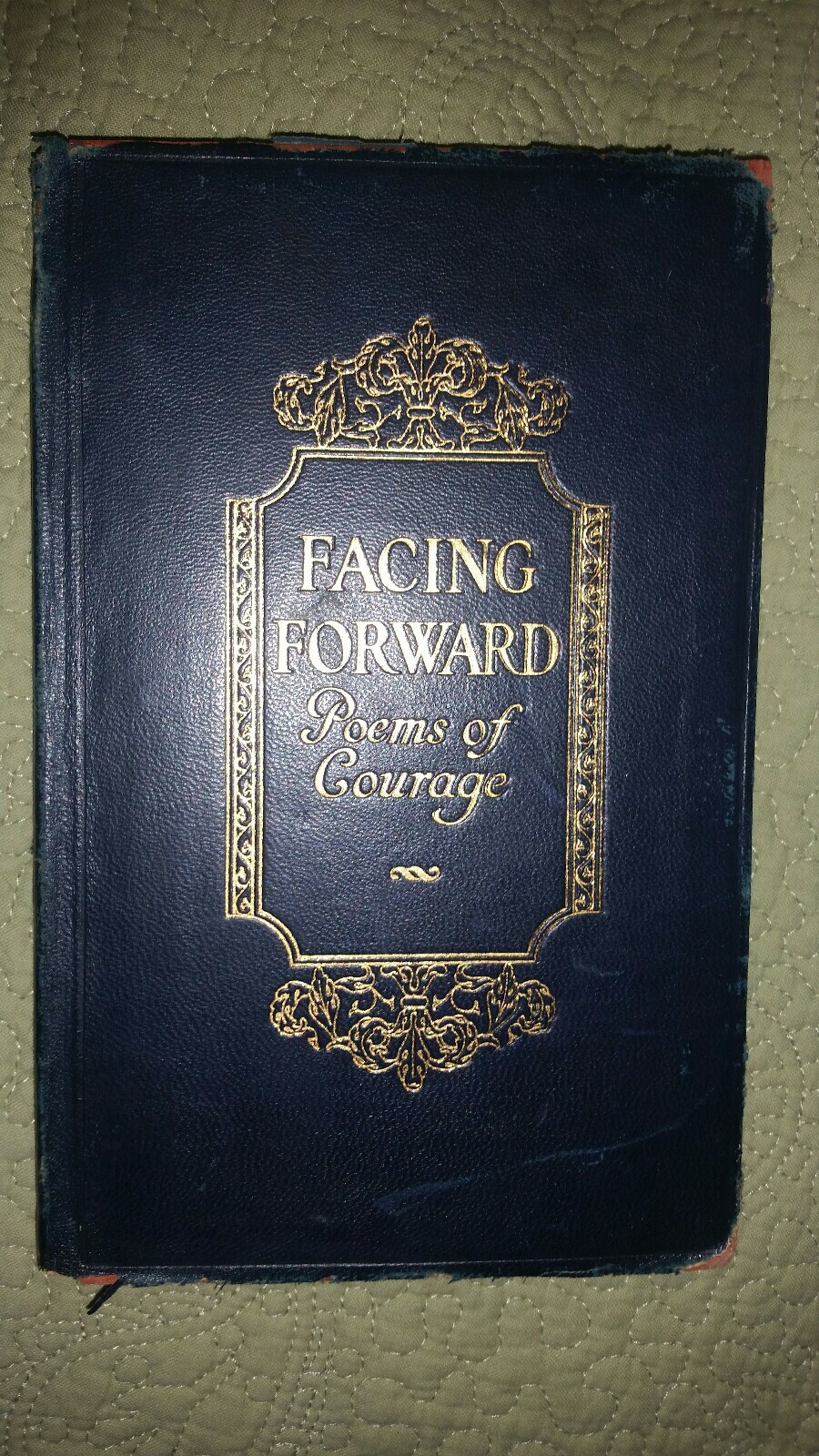 FACING FORWARD Poems of Courage Joseph Morris St. Clair Adams George ...