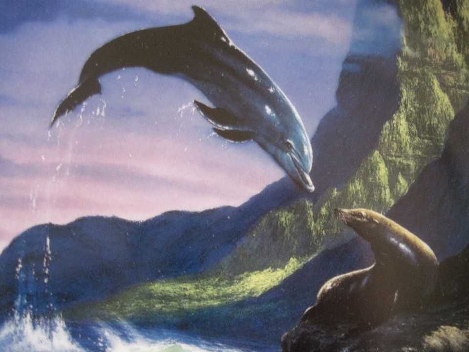 Dolphin Kisses KISSING COUSINS Plate | eBay