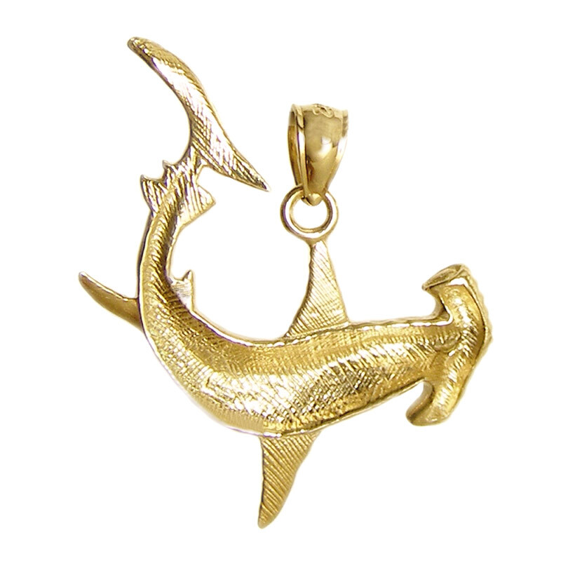 Golden Hammerhead Shark