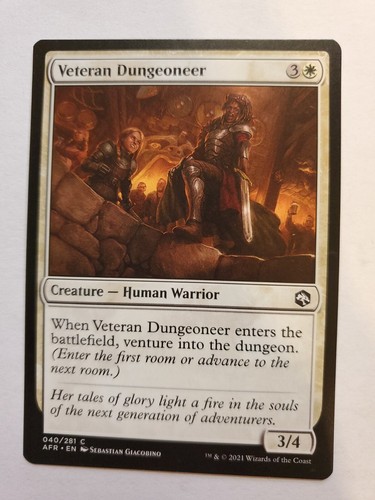 MTG Magic The Gathering Card Veteran Dungeoneer Creature Human Warrior ...
