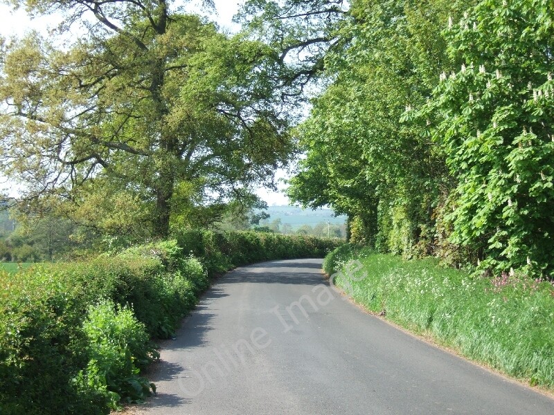 Photo 6x4 Road skirting south-west corner of Shobrooke Park Crediton ...