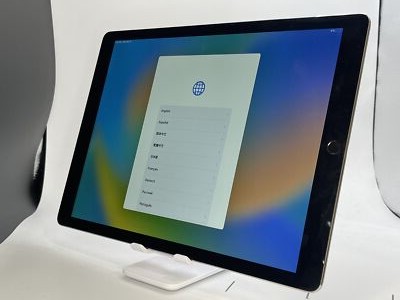 Apple iPad Pro (12.9-inch) A1584 128GB Space Gray WIFI Only 12.9 Inch ...