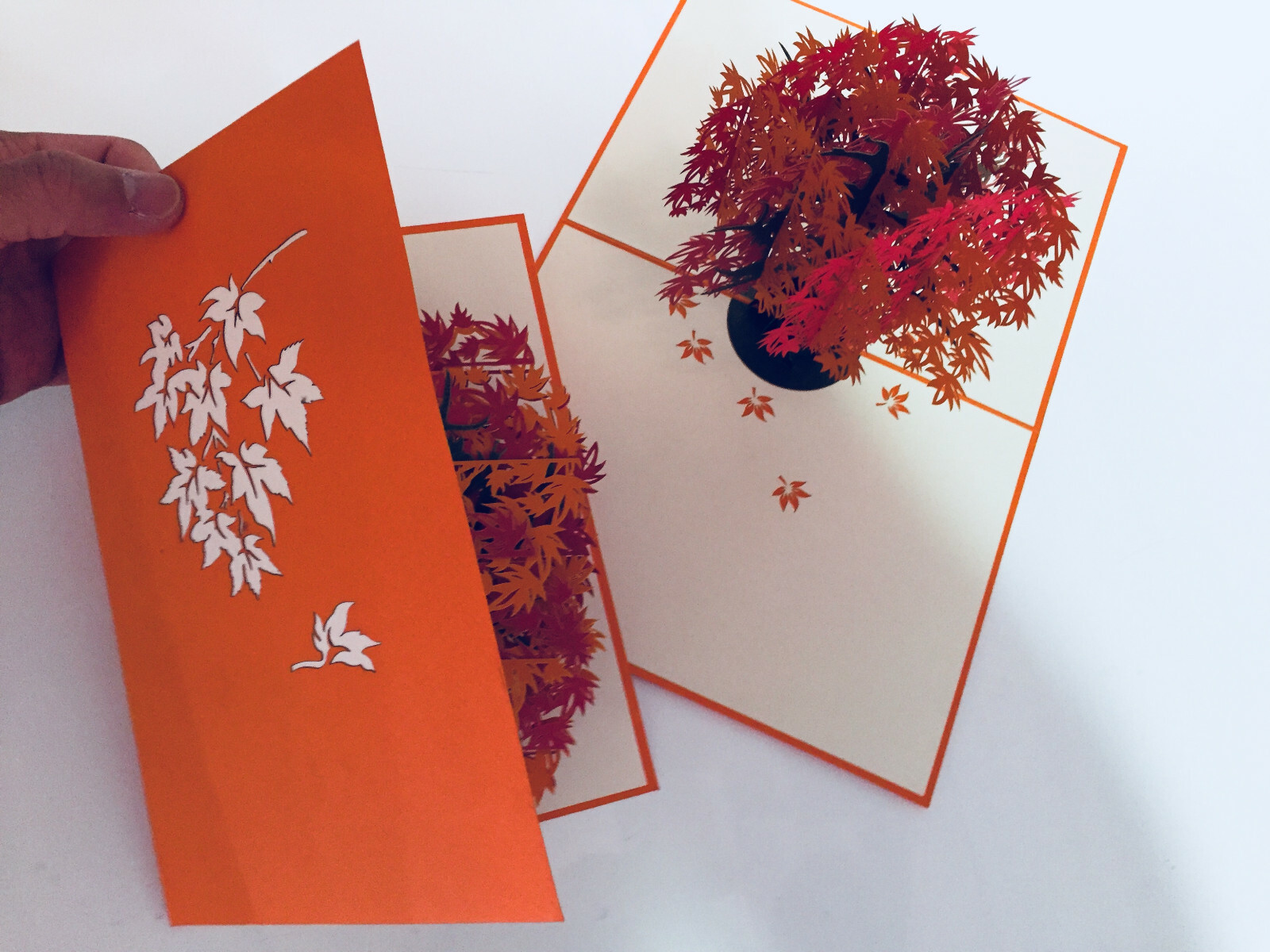 ORIGAMI POP CARDS Orange Maple Tree 3D Pop Up Greeting Card Happy ...