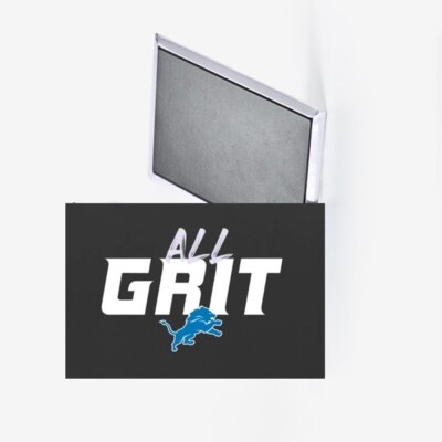 Lions All Grit Refrigerator Magnet 2x3 Detroit Lions NFL | eBay