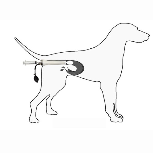 Dog Insemination Device Imitation Natural Mating Veterinary Equipment ...