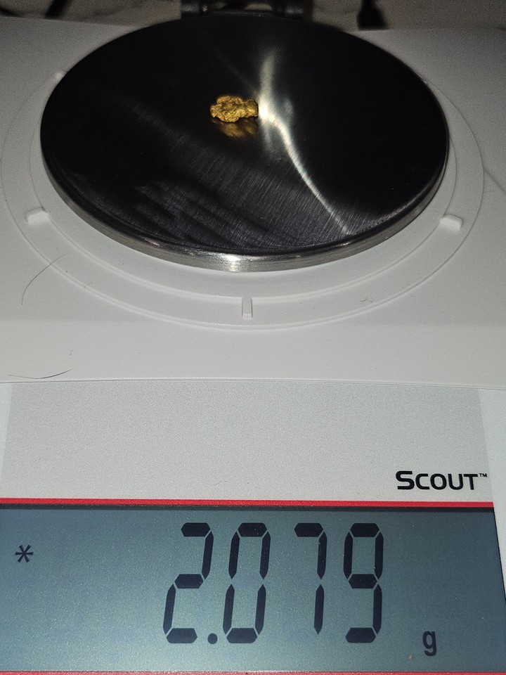 Gold nugget 2.08 grams of California high purity Gold | eBay