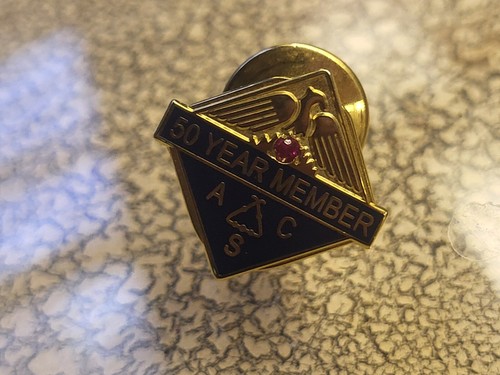 50 year member ACS pin with 24K gold | eBay