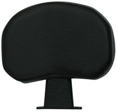 Backrest Fit for TRIUMPH SPEED 400 | eBay