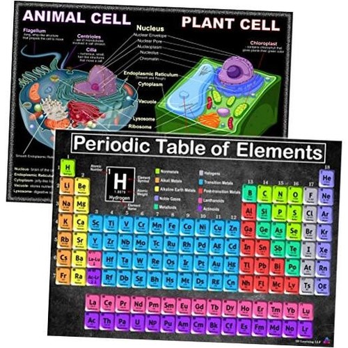 Periodic Table & Cells Science Charts - Laminated 14x19.5 - Educational ...