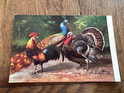 Turkeys and Peacock Printed in Germany Thanksgiving Vintage Postcard | eBay