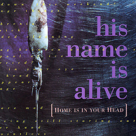 Home Is in Your Head by His Name Is Alive (CD, Dec-1999, 4ad) for sale ...