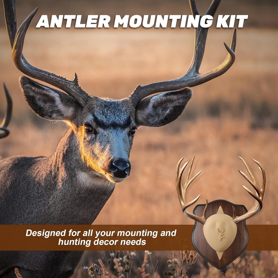 Wood Plaque Master Deer Antler Mounting Kit - Plaque Mounting Kit for ...