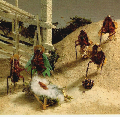 Cockroach Nativity Postcard Weird Christmas Art Diorama 1988 Humor ...