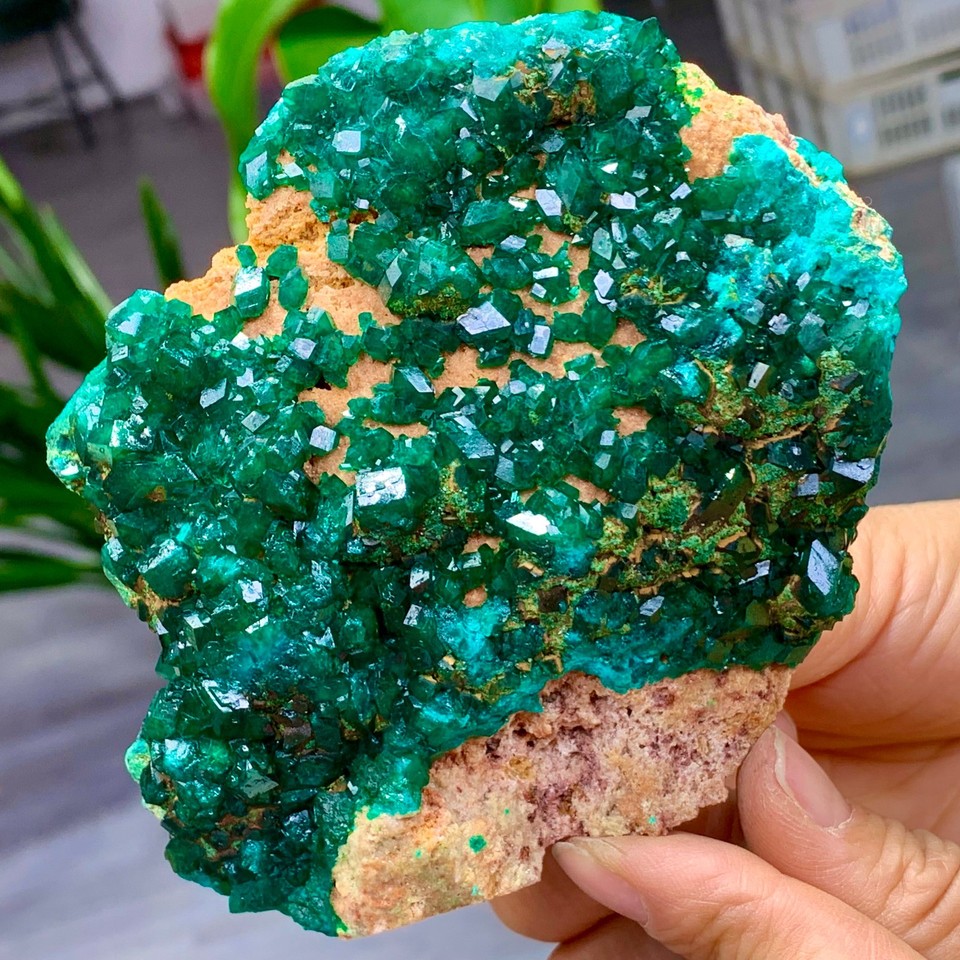 392G Natural green dioptase emerandine gemstone cluster mineral ...