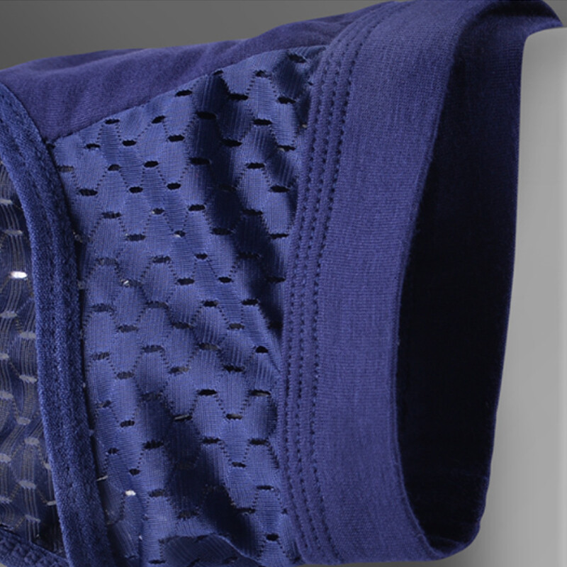 Sexy Boxer Briefs Pouch Ice Silk Underwear Mesh Men's Panties Thong ...