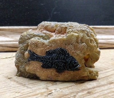 Small Fossil Prehistoric Fish Rock Cave Aquarium Fish Tank Ornament ...