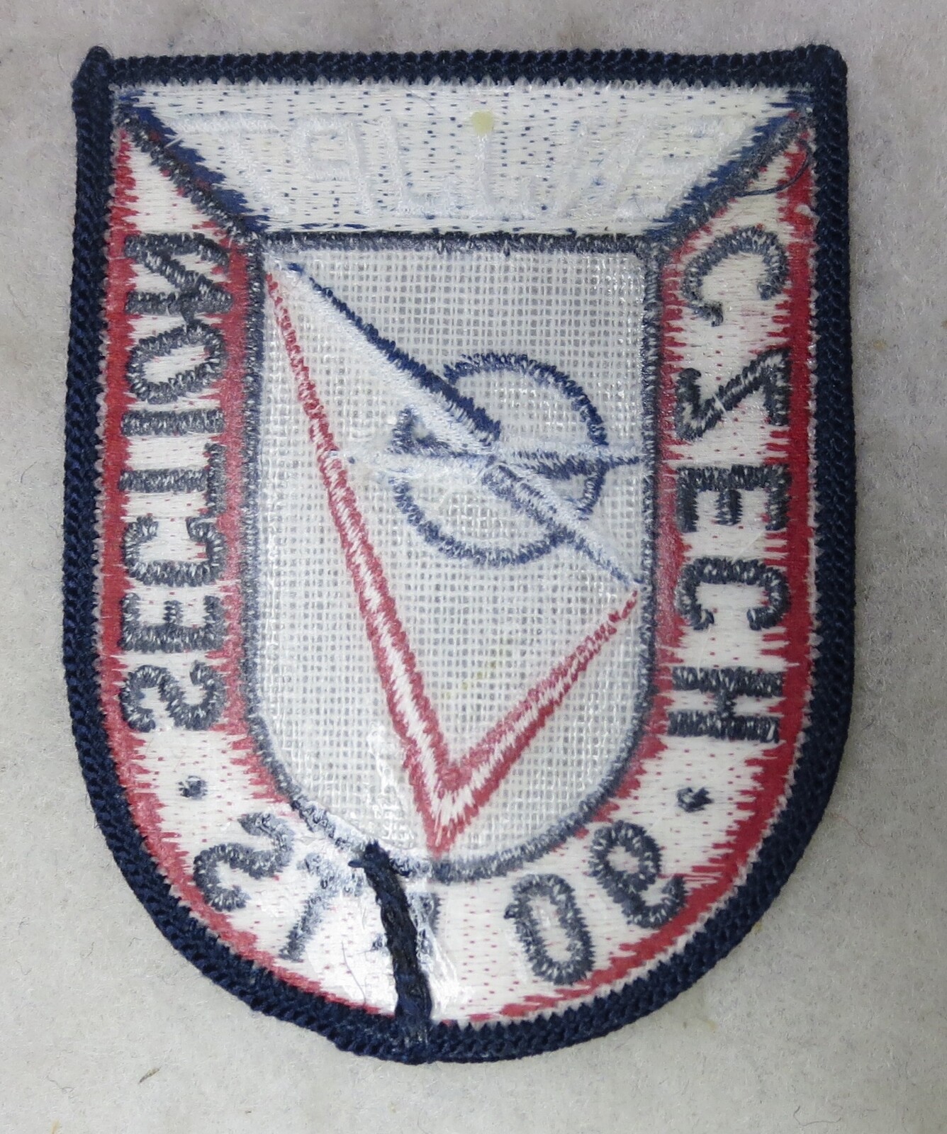 EURO NATO AIR FORCE ENJJPT PATCH 90th FTS CZECH SECTION Vintage ...