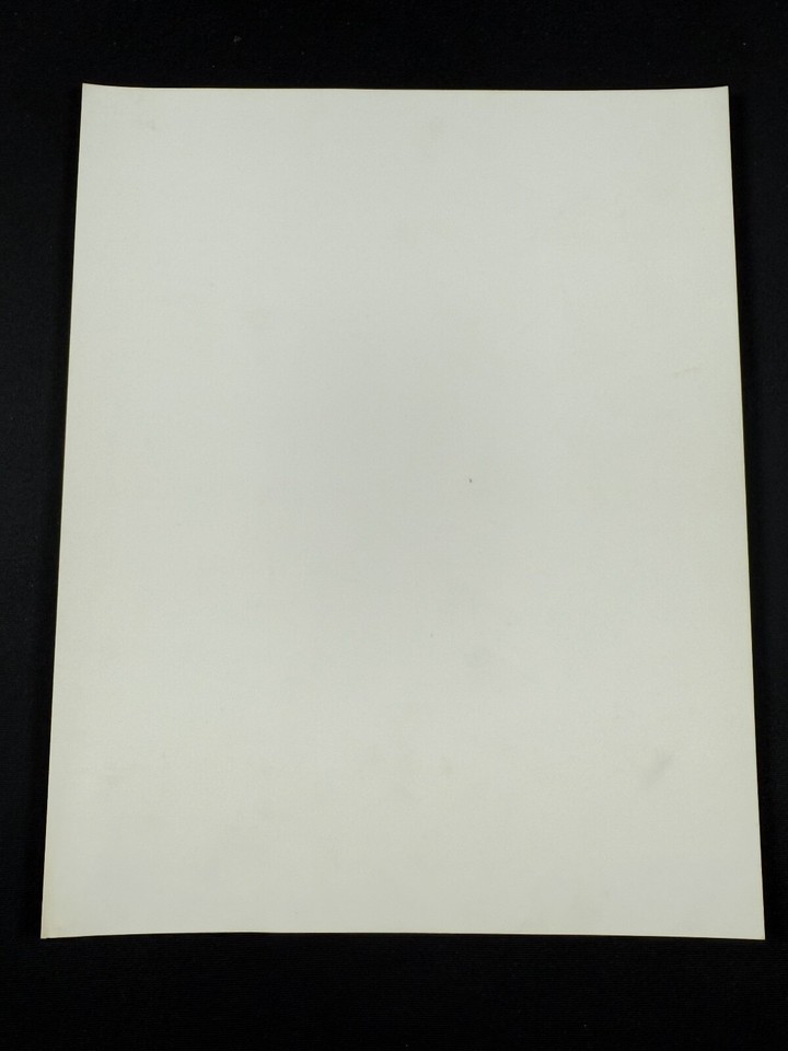 RARE A4 1991 Suburban Commando B/W Press Scene Print (Hulk Hogan) | eBay UK