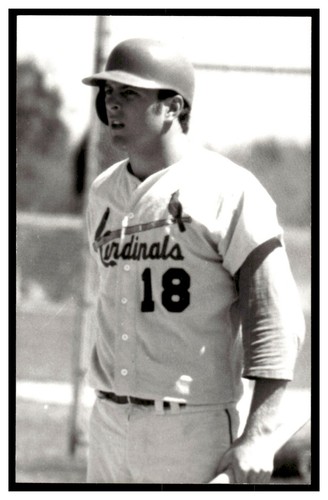 Butch Hoelzer St. Louis Cardinals Vintage Baseball Postcard Rd4 | eBay