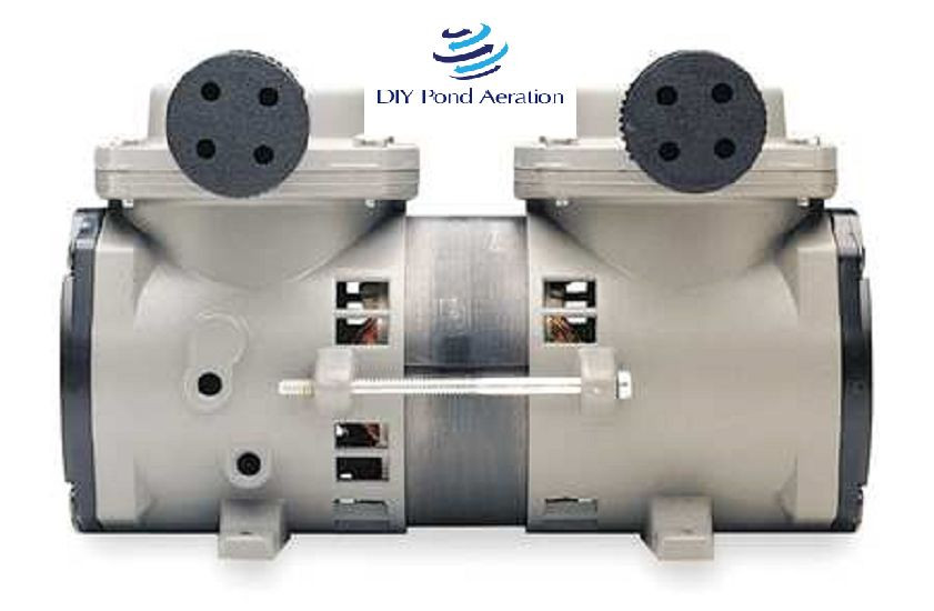 NEW SK2107TFEL Thomas Service Kit Compressor Model 2107/107 Neoprene Diaphragm! | eBay UK