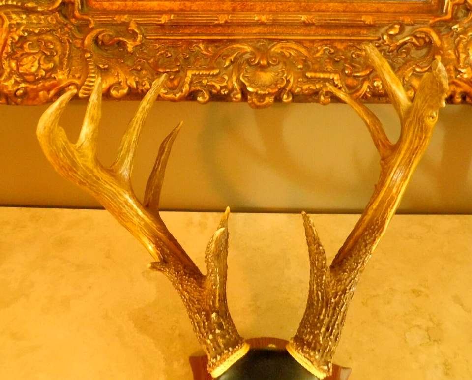 Vtg 11 POINT WHITETAIL DEER ANTLER MOUNT TAXIDERMY THICK 5 ...