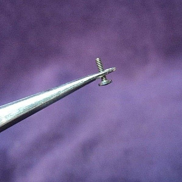 New ~Longines Caliber 30CH Chronograph Case Screw 4.4mm Long -2.2mm ...