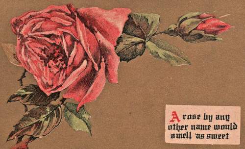 A rose by any other name would smell as sweet Vintage Postcard /pc1022 ...