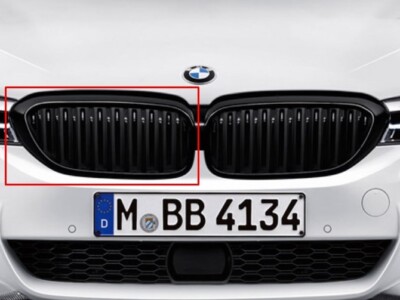 Genuine OEM Front Driver Left Grille 51712430994 for BMW | eBay