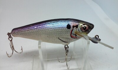 Bagley Diving Small Fry Shad Shad on White SH4 3" All Brass Crankbait ...