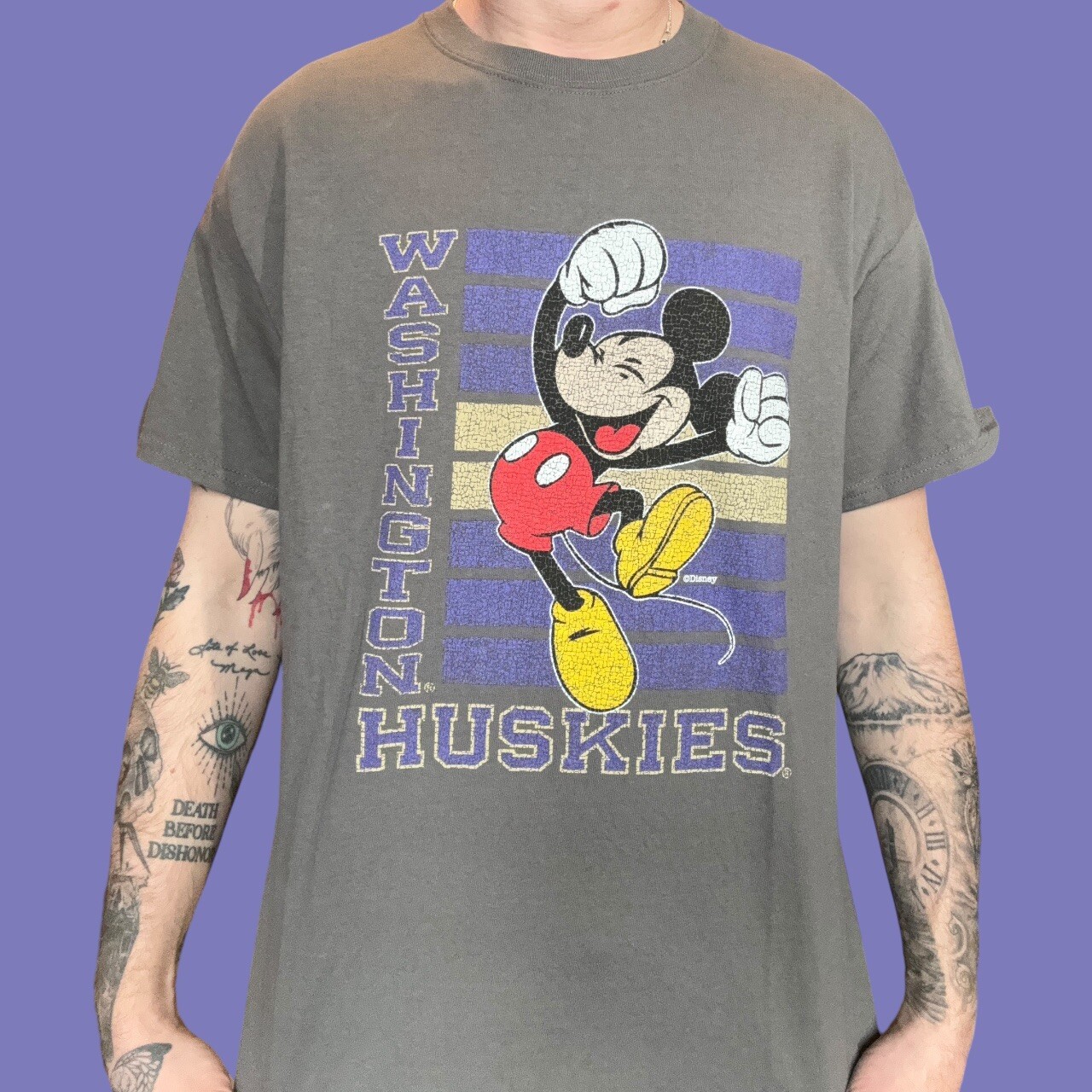 Rare Disney Mickey Mouse University Washington Huskie… - Gem