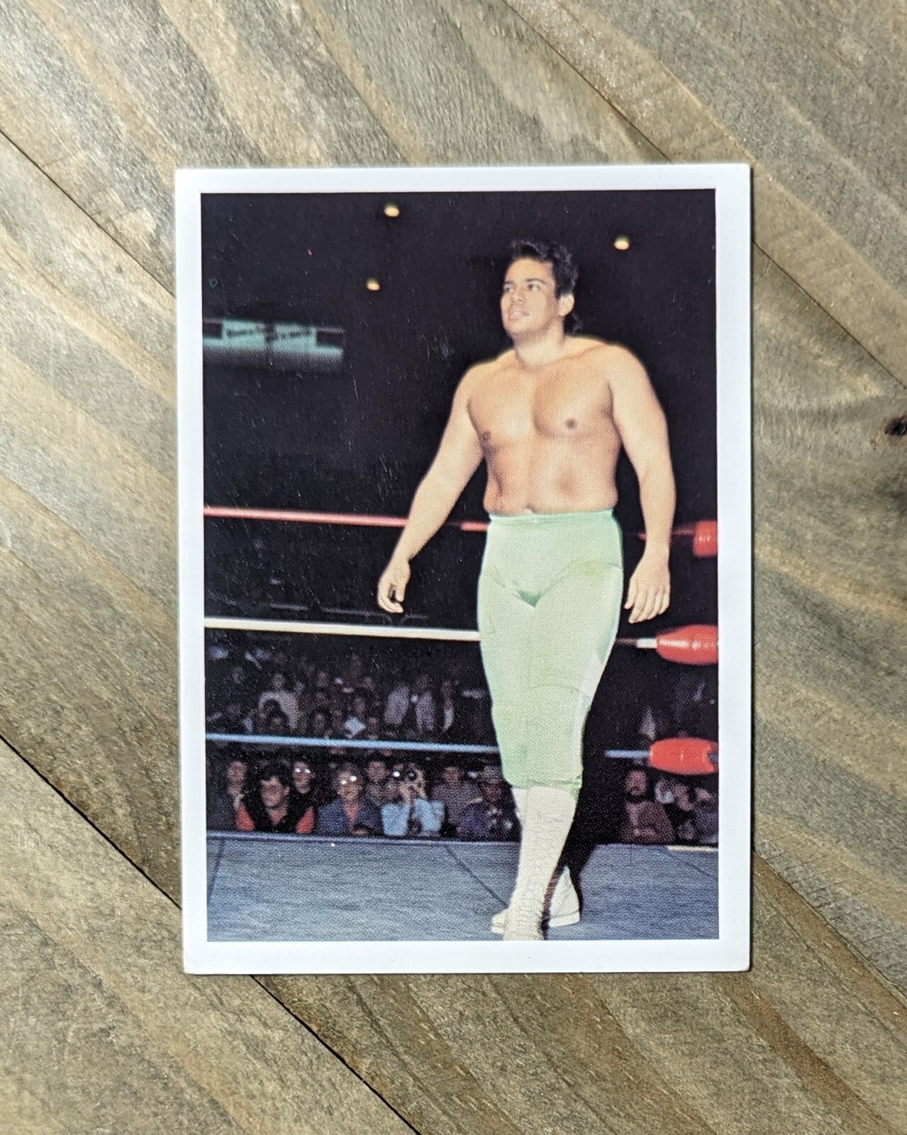1988 NWA Wonderama Ricky Santana RC Rookie Wrestling Card #62 (B) | eBay