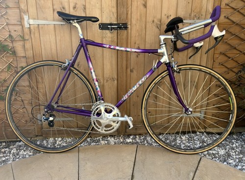 Raleigh Dynatech Lo Pro 2080tubing Mavic Groupset | eBay UK