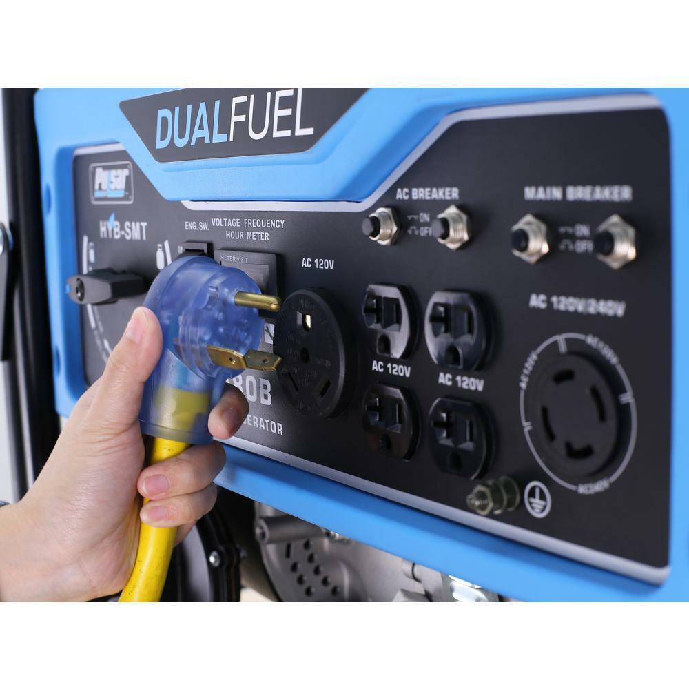 Pulsar 6,580-W Portable RV Ready Dual Fuel Gas Powered Generator with ...